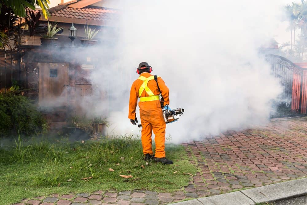 DIY vs Professional Mosquito Control: Best for Your Home